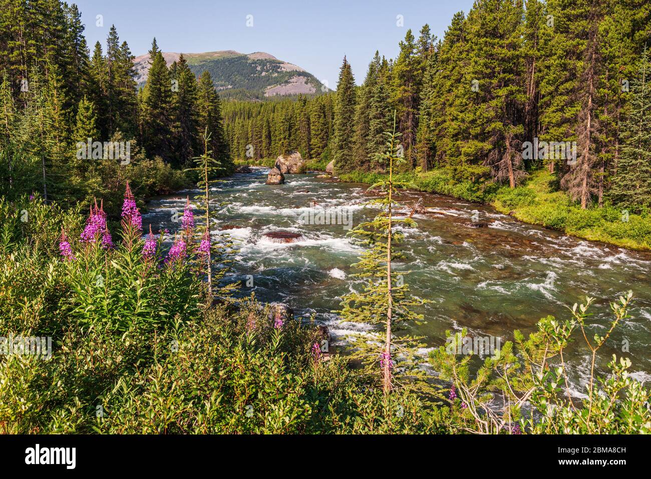 maligne lake and river views, Jasper National Park, Alberta, Canada ...