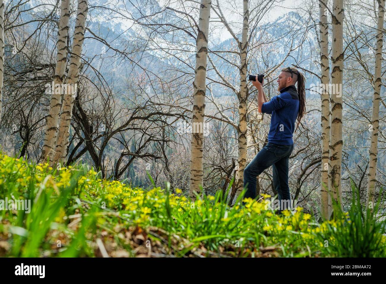 A man photographer stands on the trail in the spring birch forest. The ...