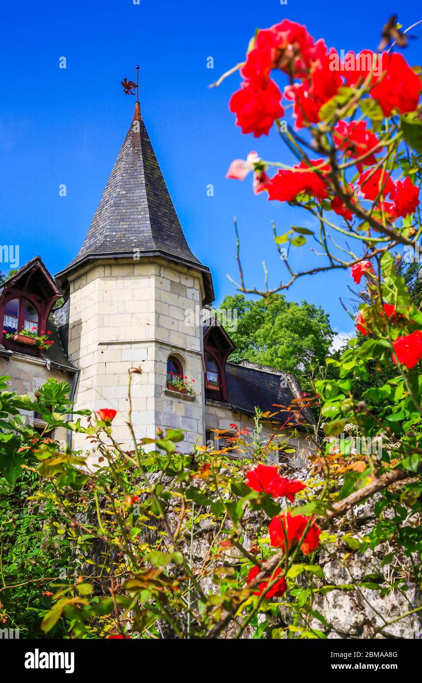 Renaissance roses hi-res stock photography and images - Alamy