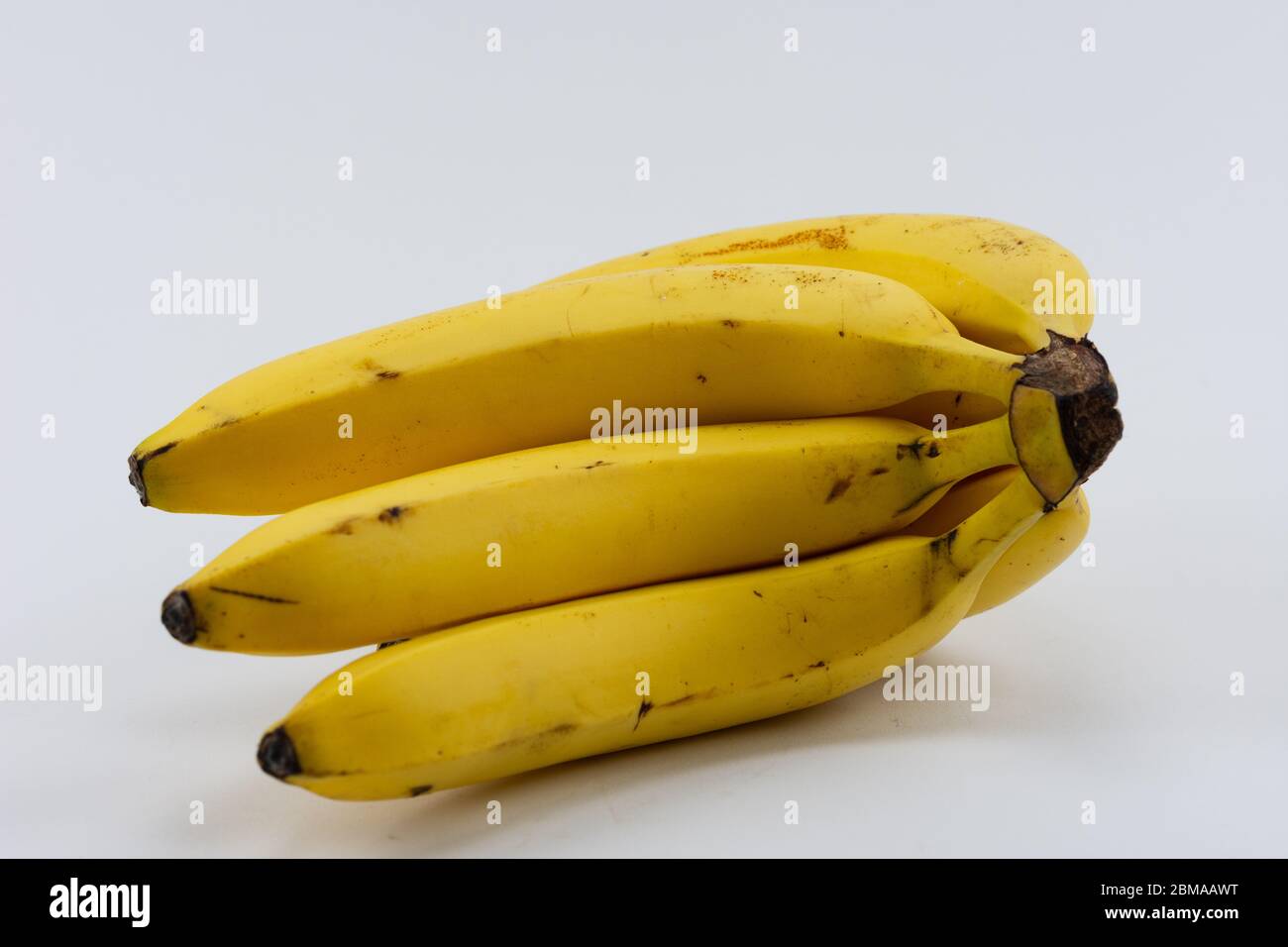 A perennial with six ripe bananas in front view Stock Photo - Alamy