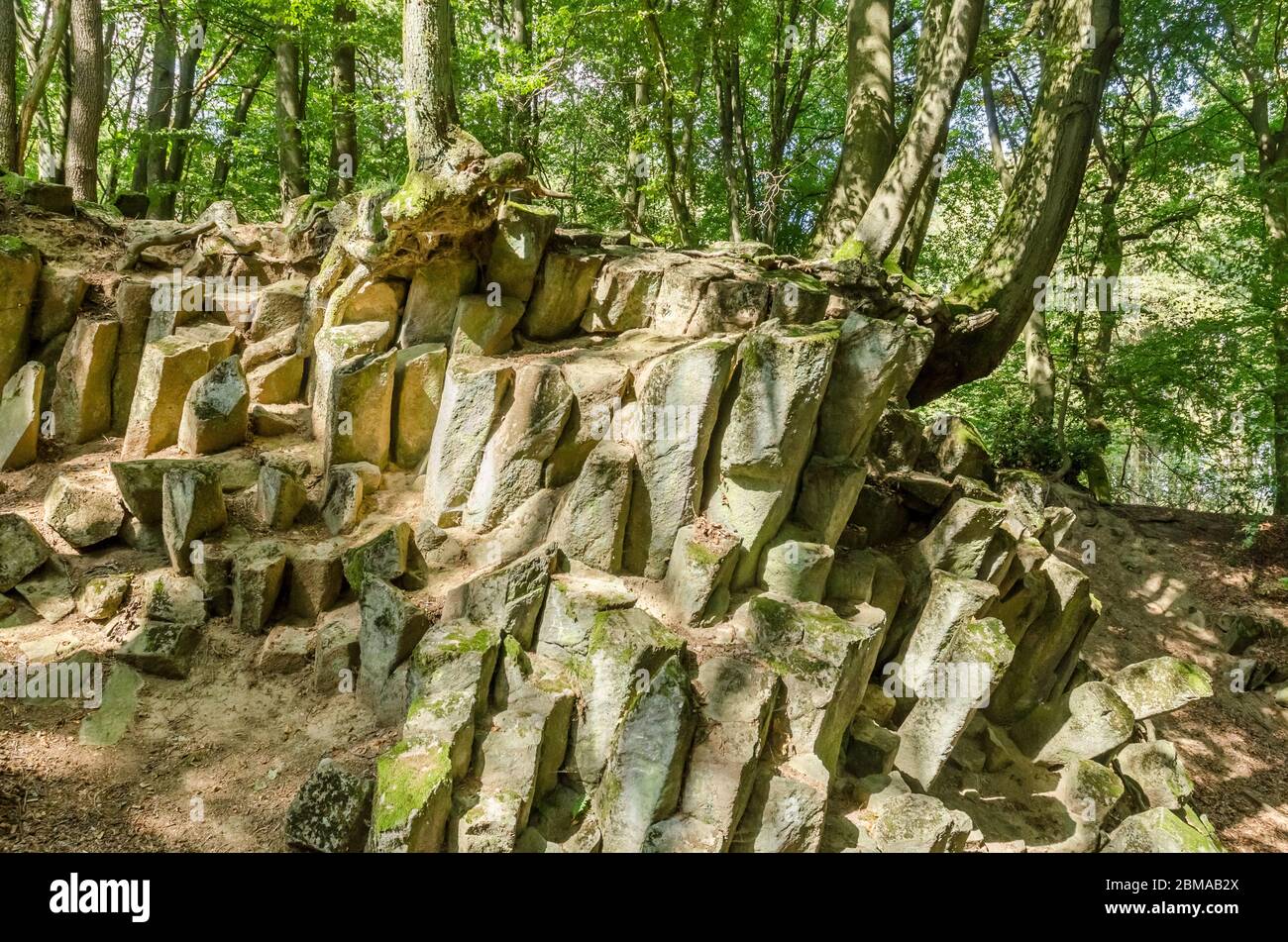 Basaltkrater Blauer Stein, basalt crater rock formations in a forest in ...