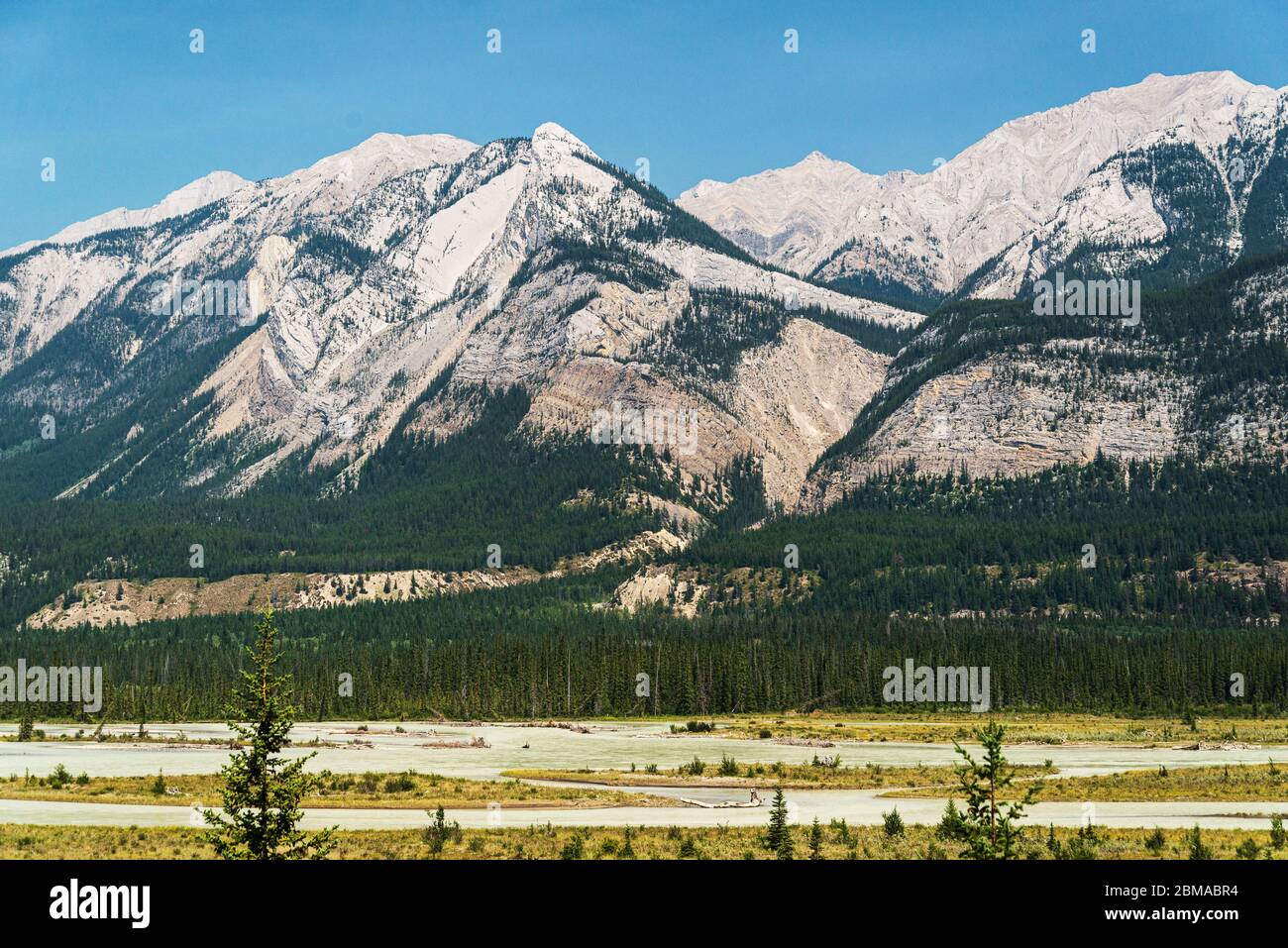 nature scenarios along the yellowhead highway, Alberta, Canada Stock ...
