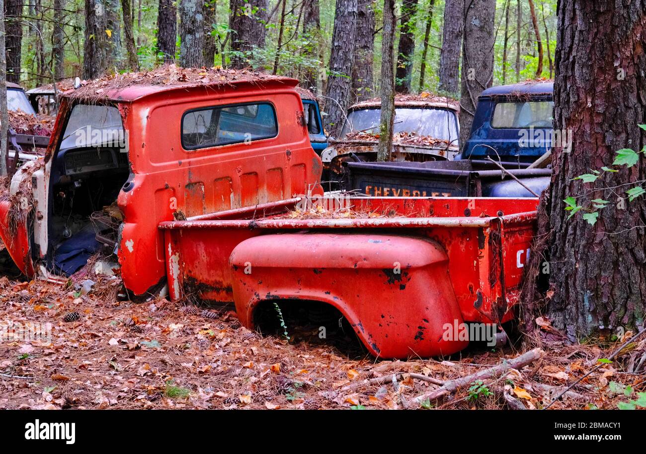 Old Red Pickup in Woods Stock Photo - Alamy
