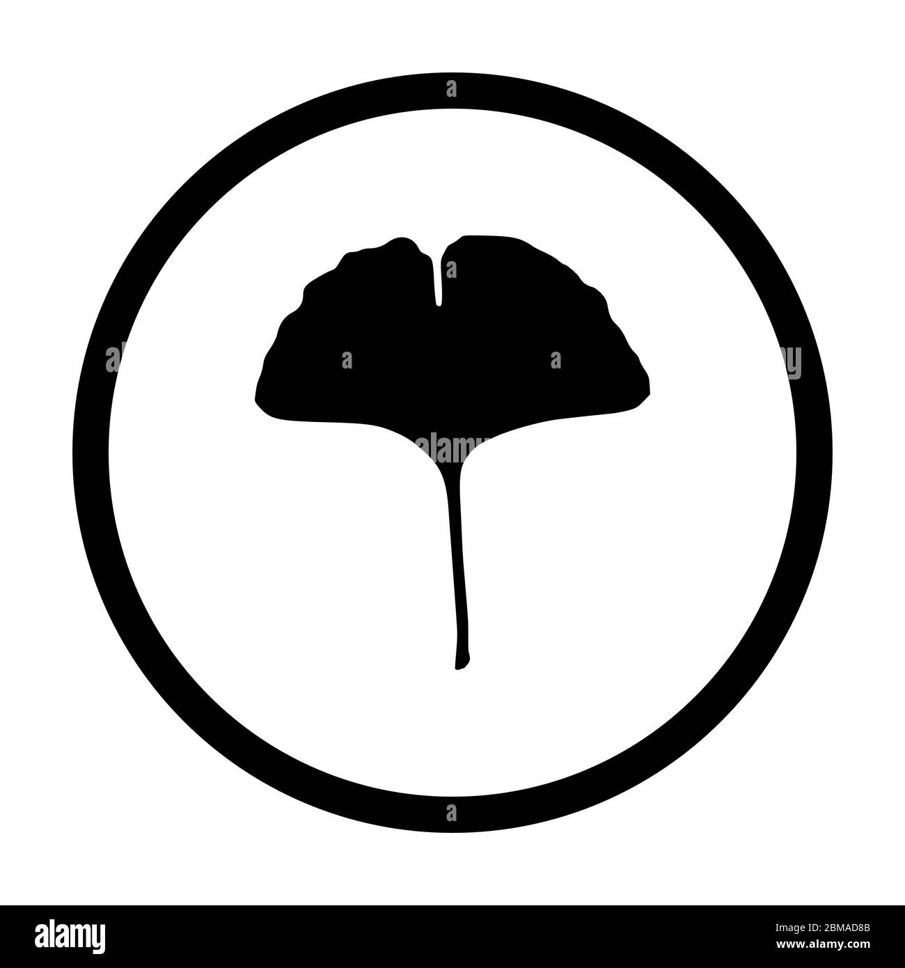 Ginkgo leaf and circle Stock Photo - Alamy