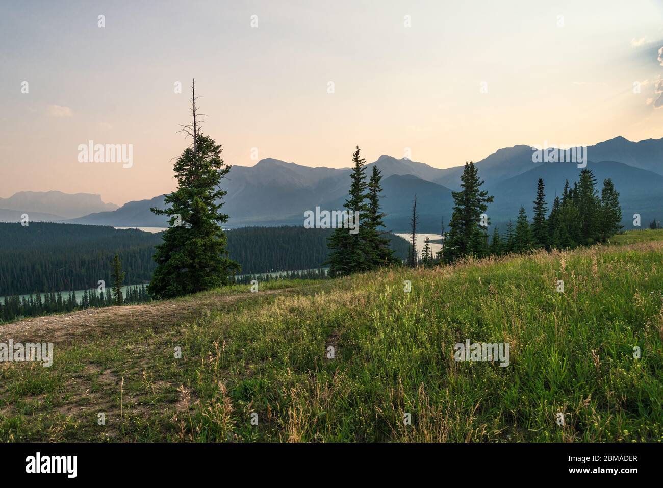 nature scenarios along the yellowhead highway, Alberta, Canada Stock ...