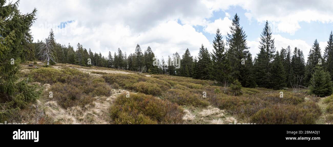 Oberer hi-res stock photography and images - Alamy