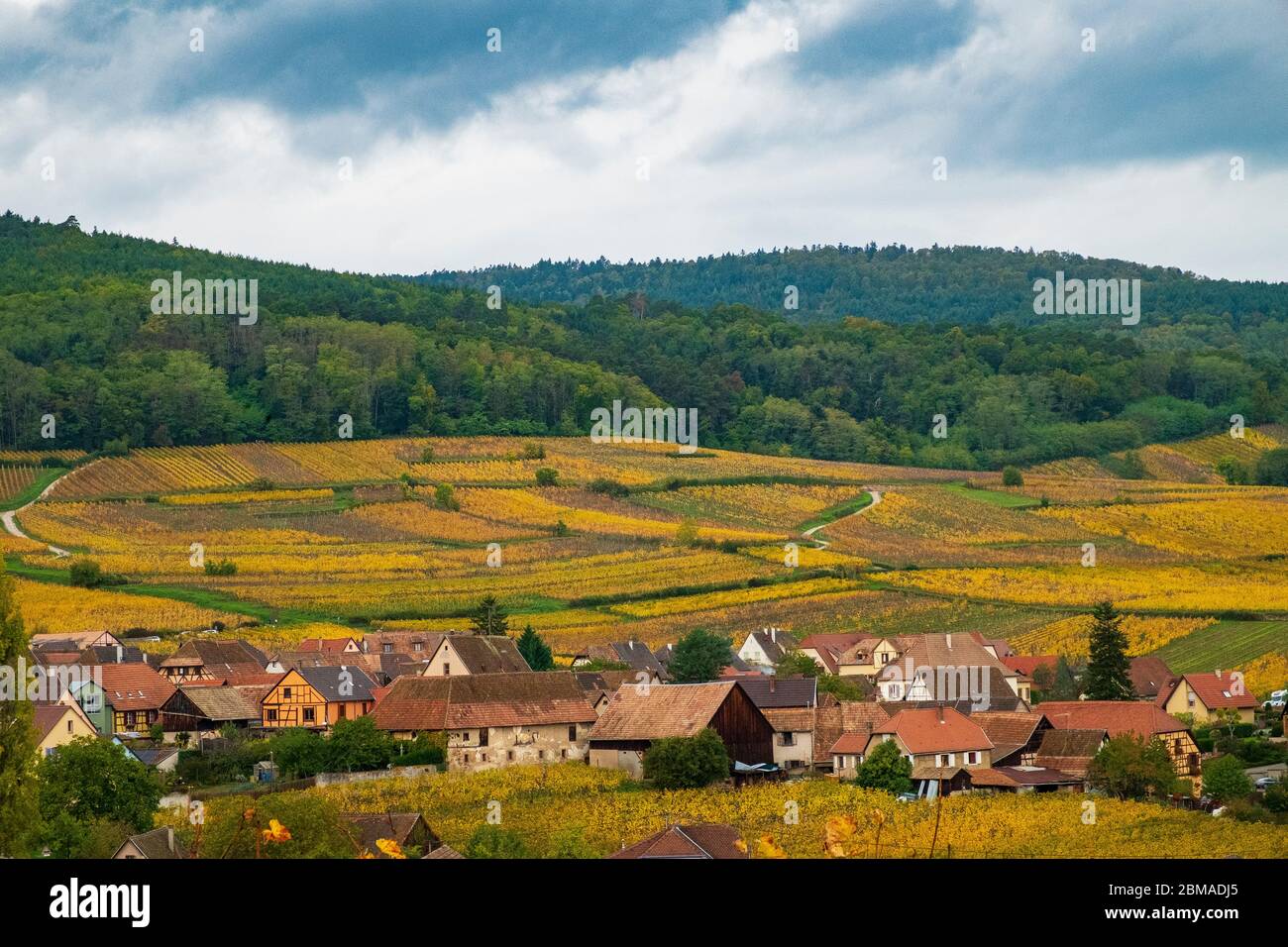 alsace wine route Stock Photo - Alamy