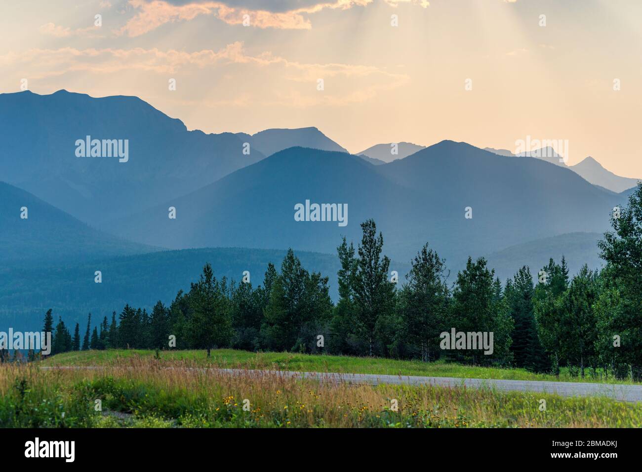 nature scenarios along the yellowhead highway, Alberta, Canada Stock ...
