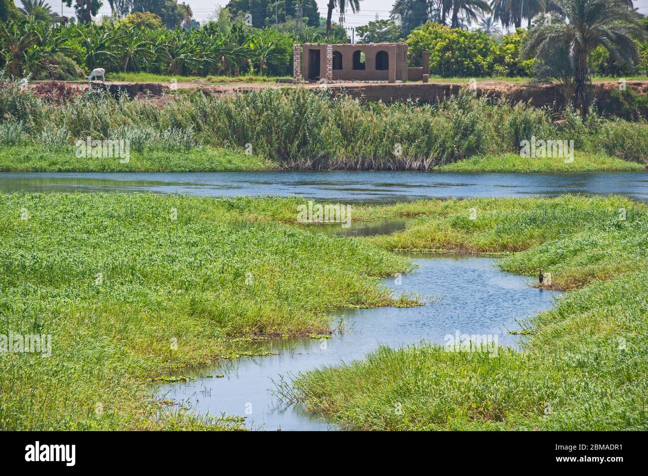 Serene wetlands hi-res stock photography and images - Alamy