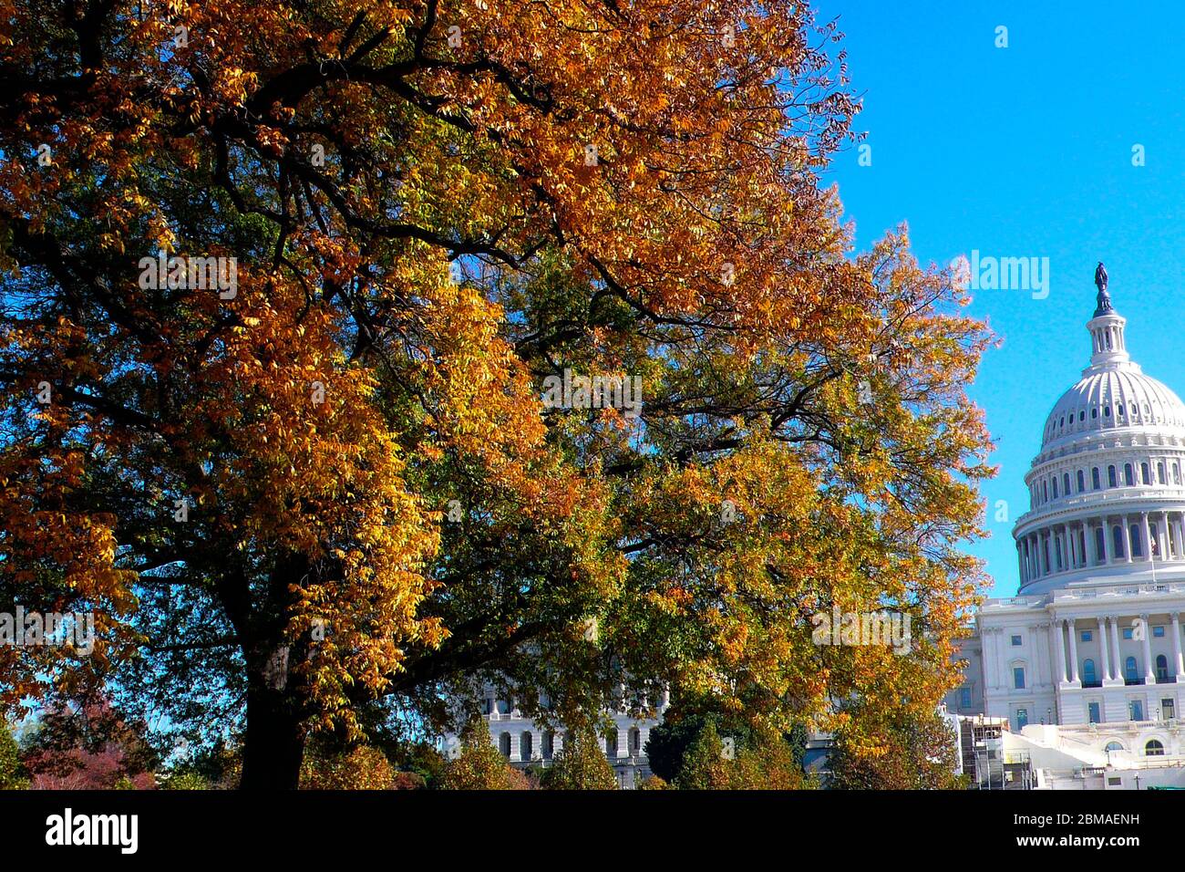 Washington monument behind trees hi-res stock photography and images ...
