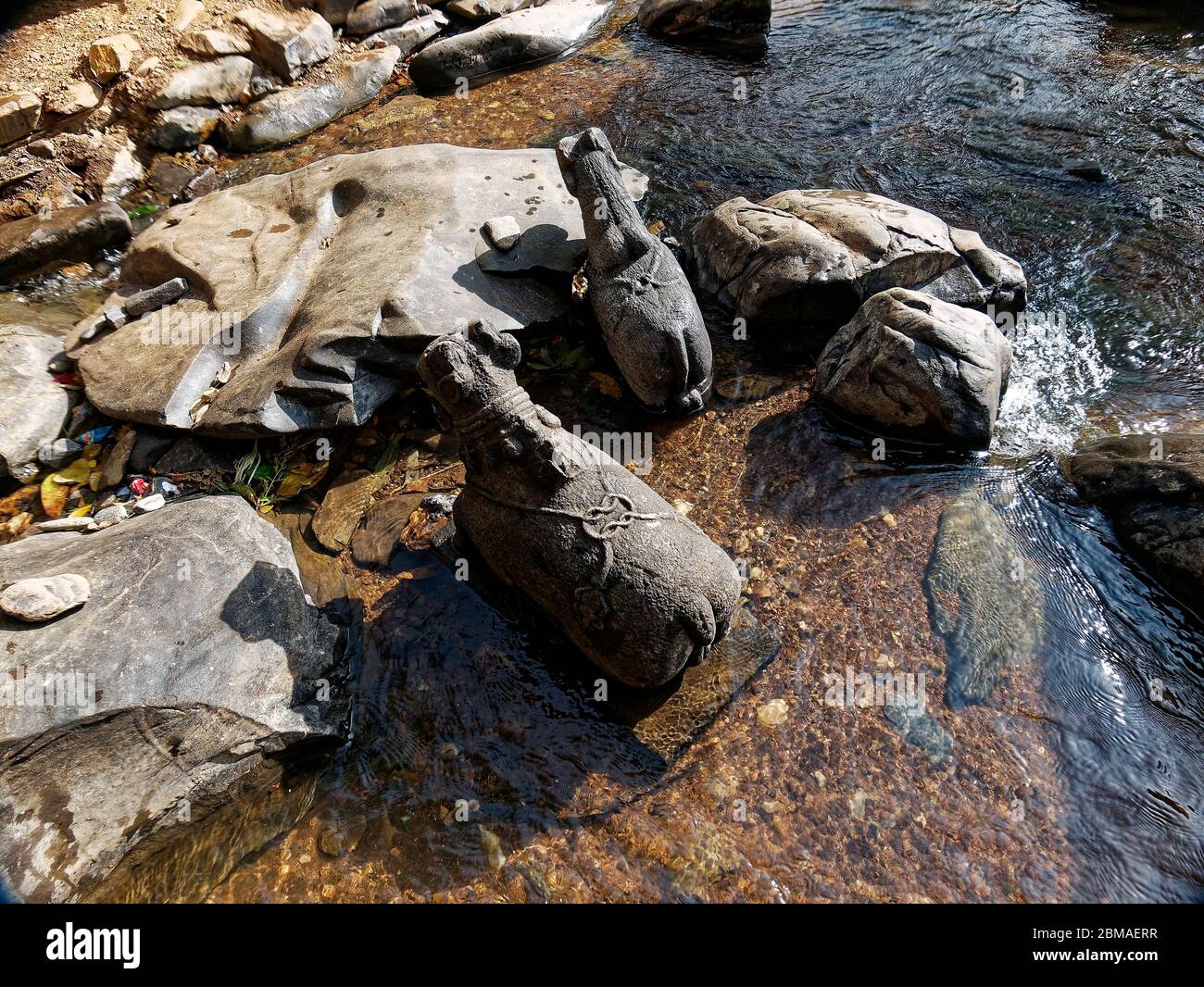 Thousands of shivlingas appearing in Shalmala river bed due to global ...