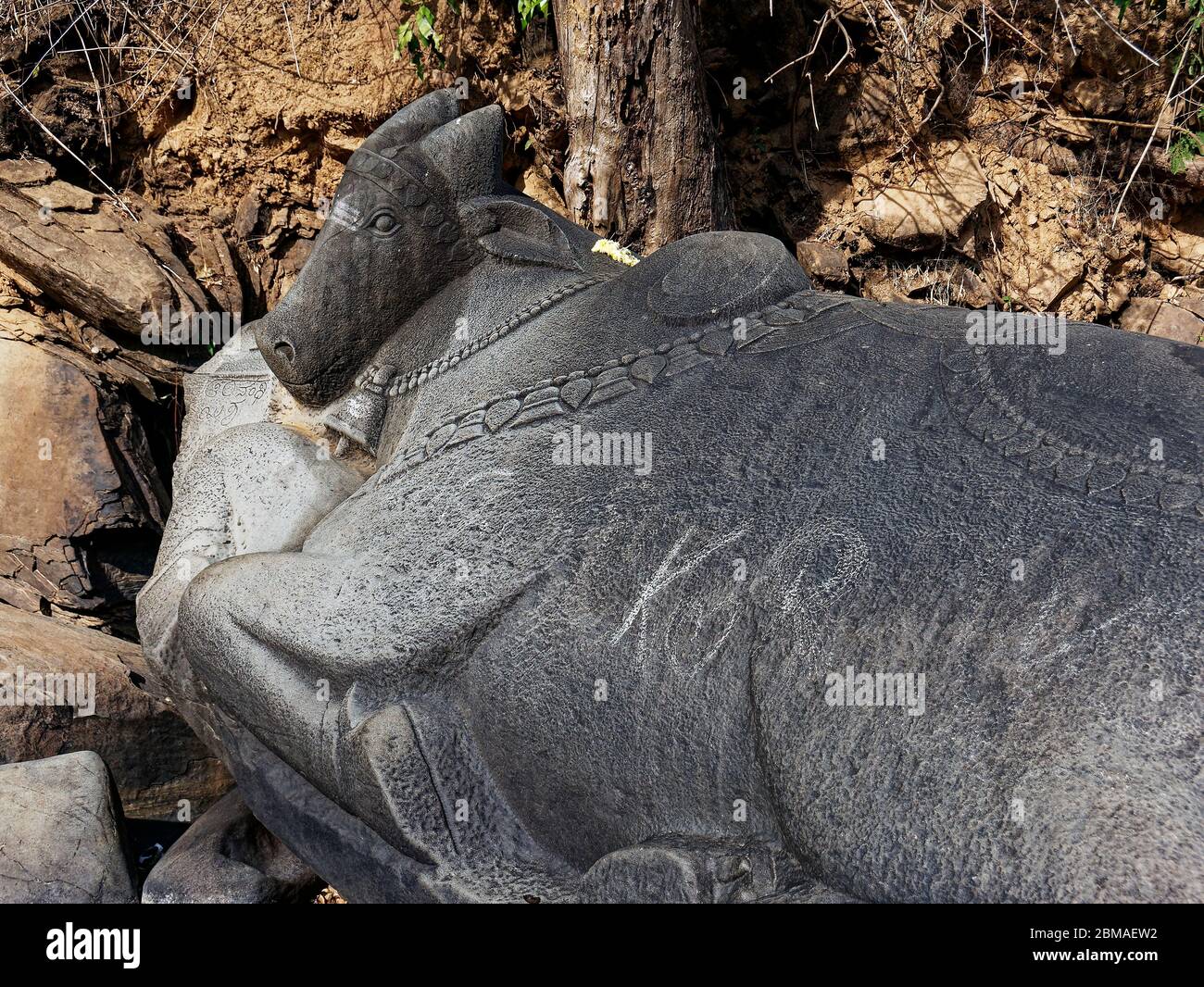 Thousands of shivlingas appearing in Shalmala river bed due to global ...