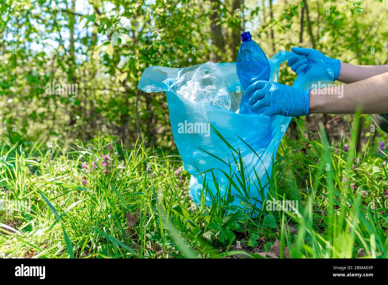 cleaning nature by collecting plastic waste, plastic bottles from the ...