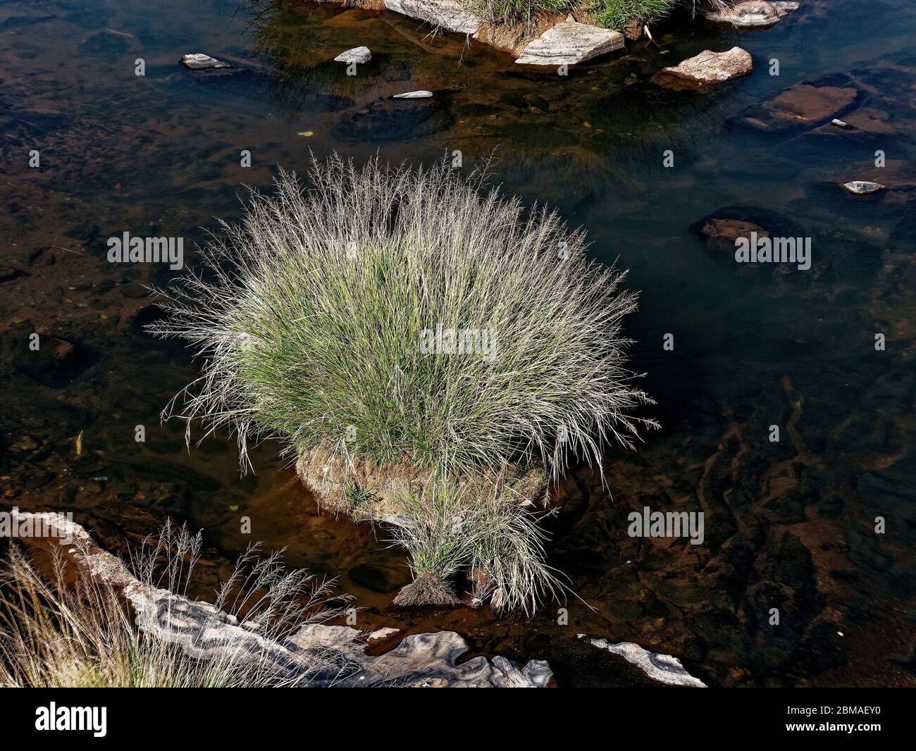 View of a river Shalmala Stock Photo - Alamy