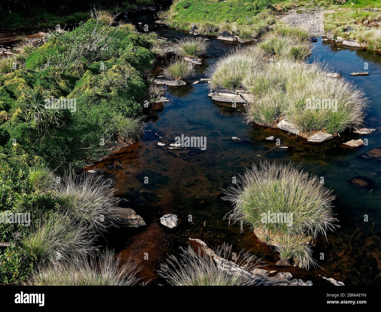 View of a river Shalmala Stock Photo - Alamy