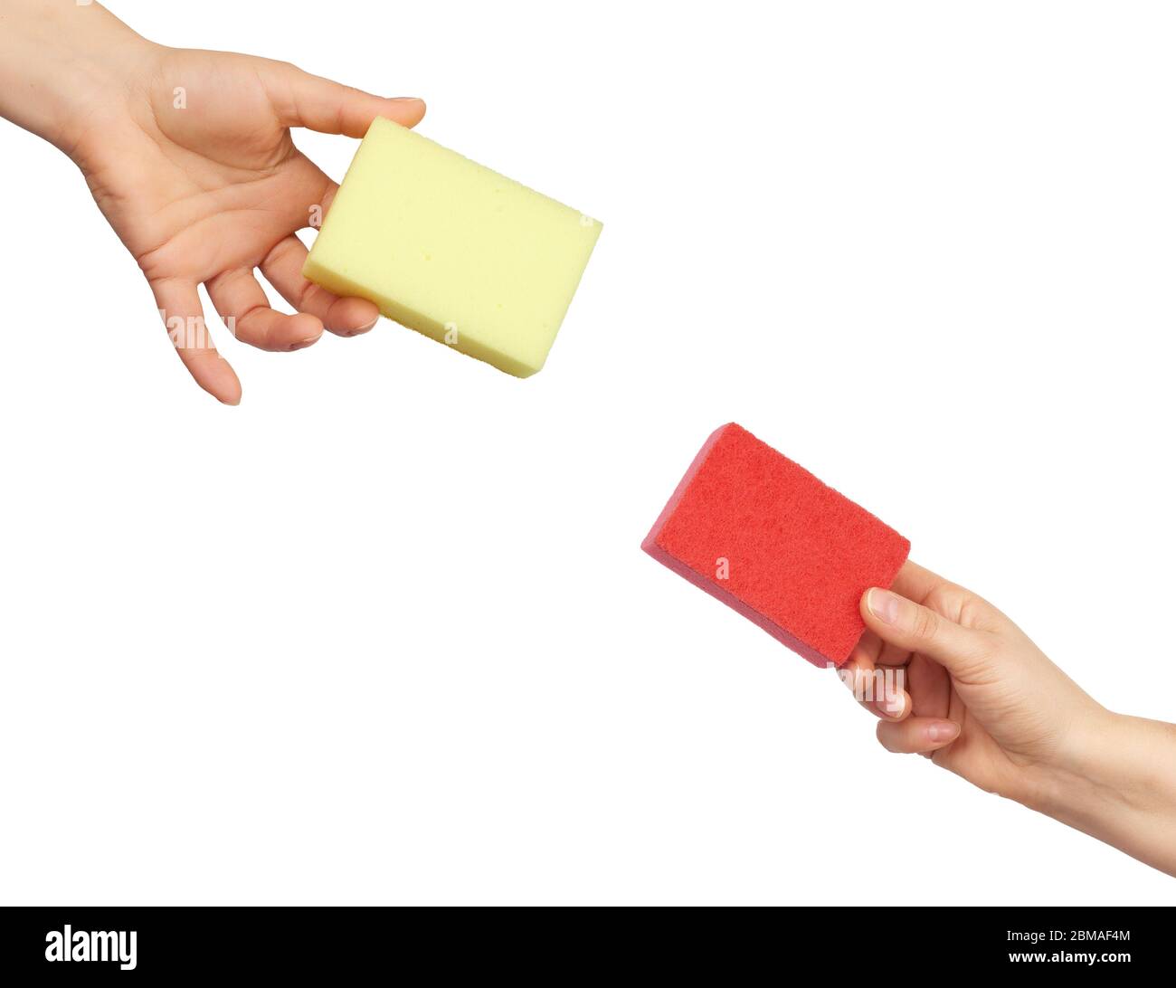 female hand holds a kitchen sponge for washing dishes, part of the body ...