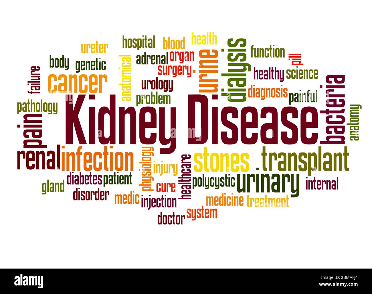 Kidney Disease word cloud concept on white background Stock Photo - Alamy