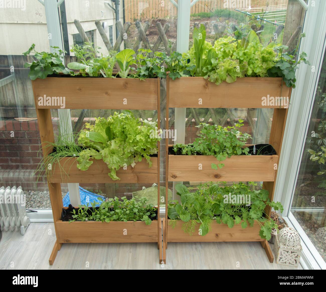 Stacking Indoor salad leaves planter Stock Photo - Alamy