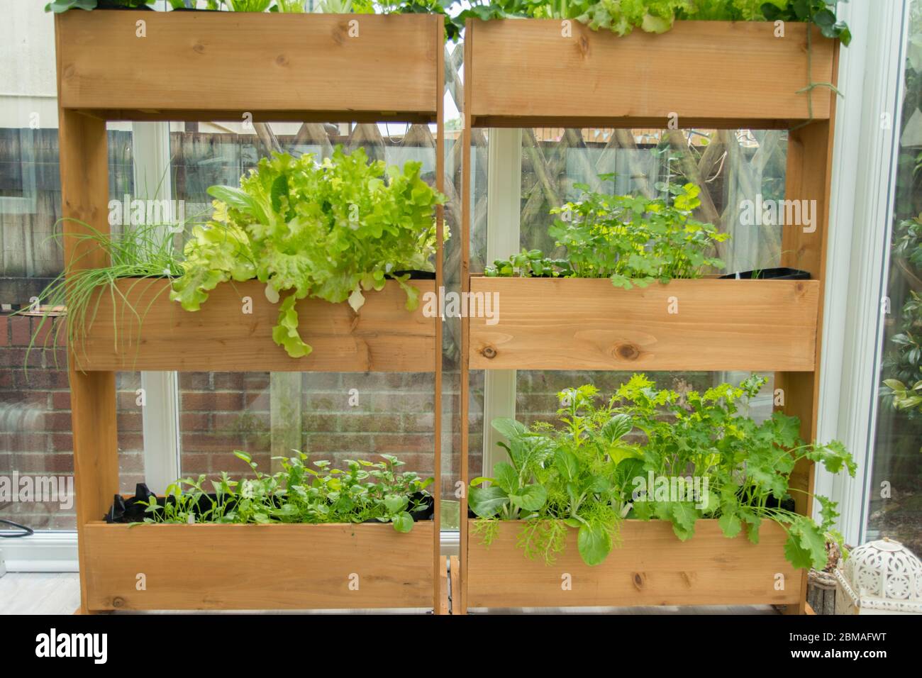 Stacking Indoor salad leaves planter Stock Photo - Alamy