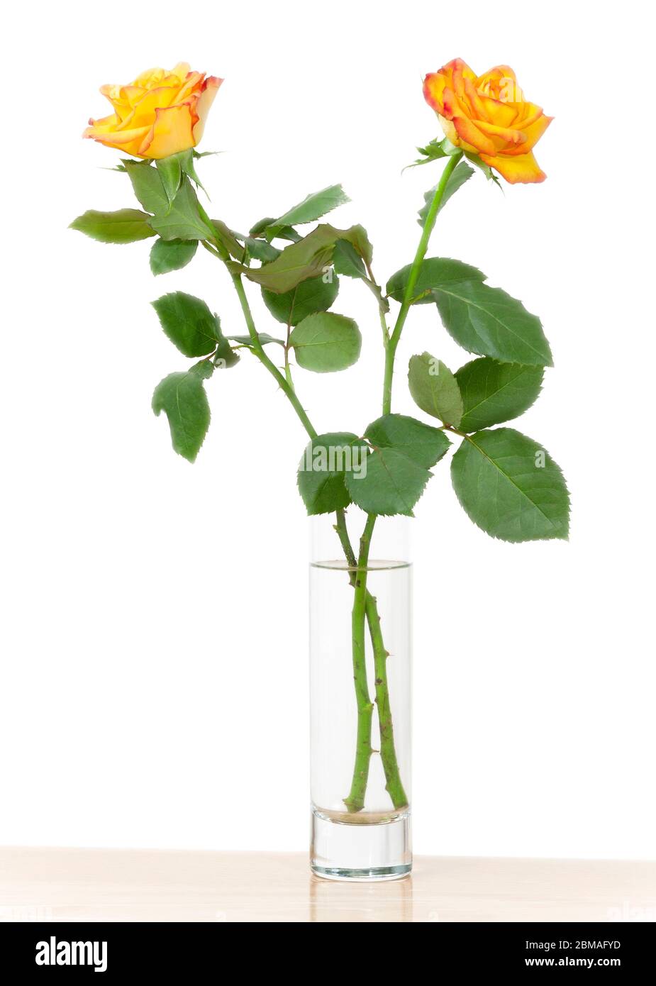 ornamental rose (Rosa spec.), yellow roses in a vase Stock Photo - Alamy