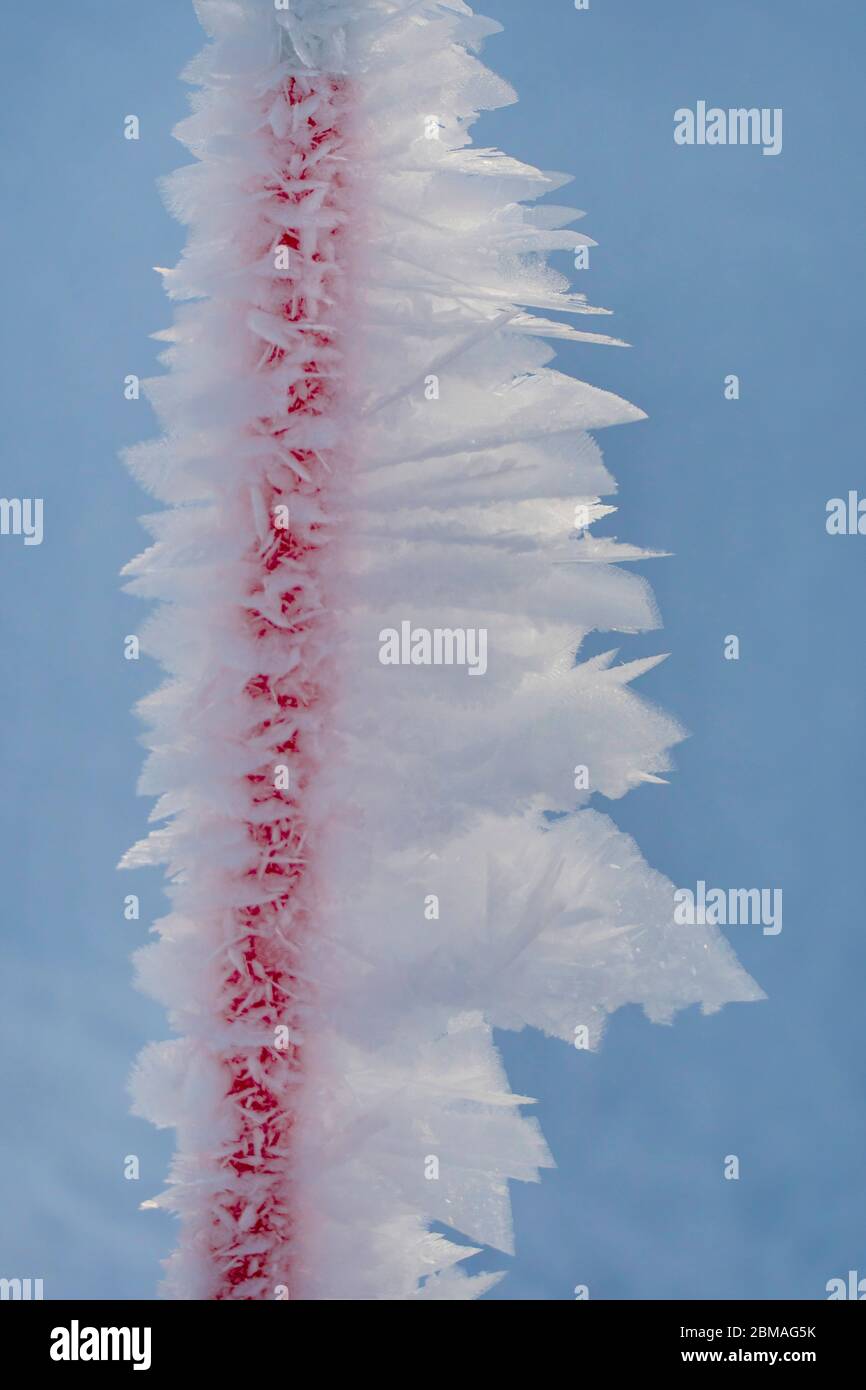 Detail ice crystals in red hi-res stock photography and images - Alamy