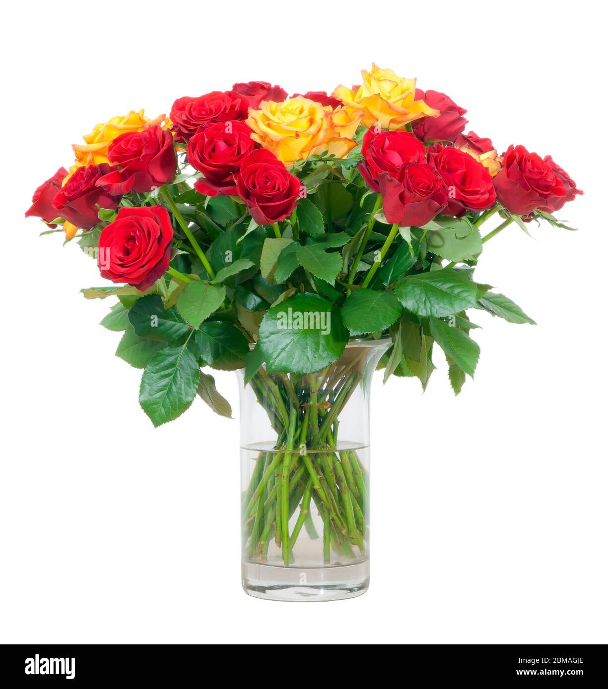 Aster spec Cut Out Stock Images & Pictures - Alamy