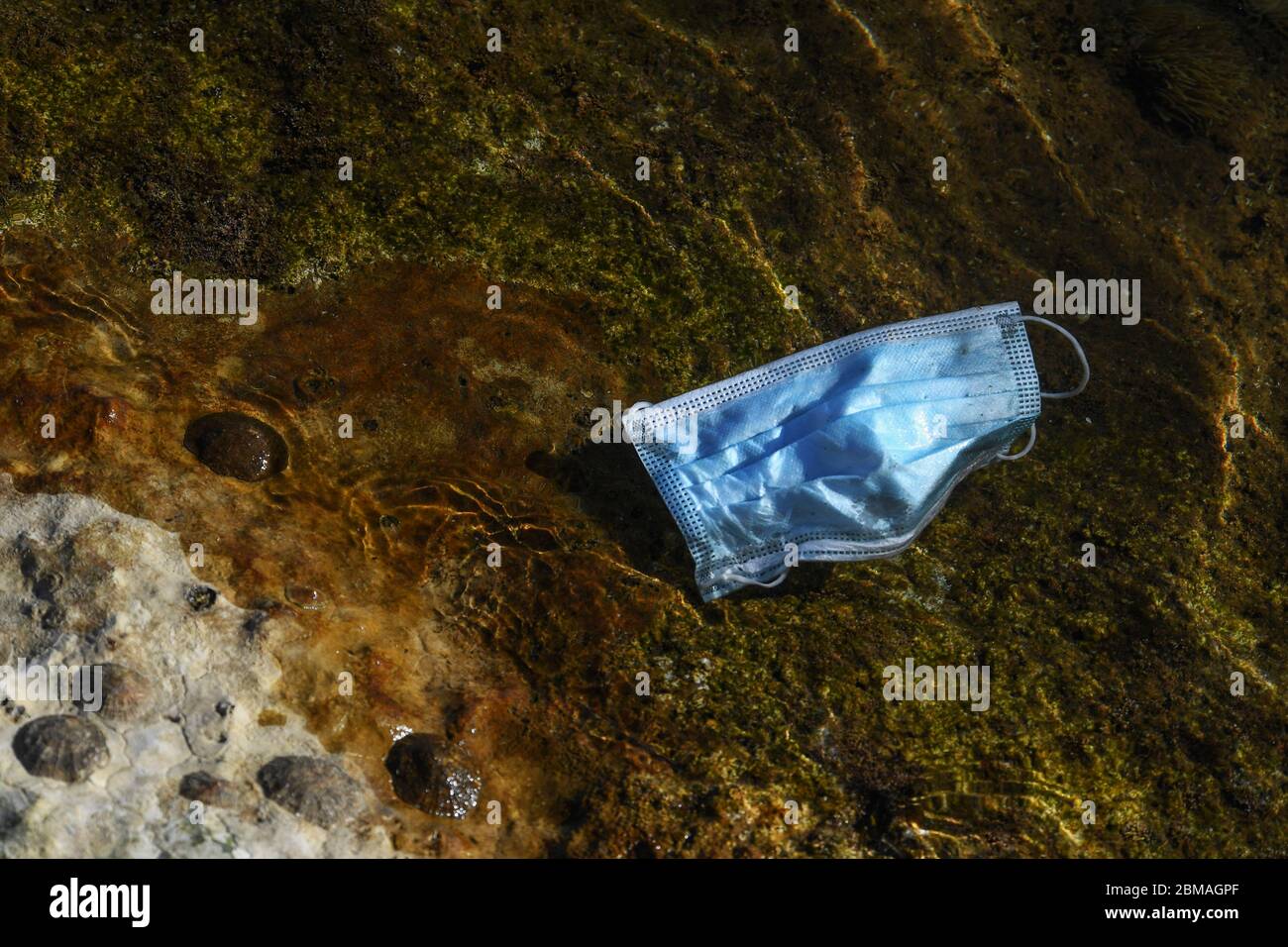 A protective mask for the mouth and nose thrown into the sea of the ...