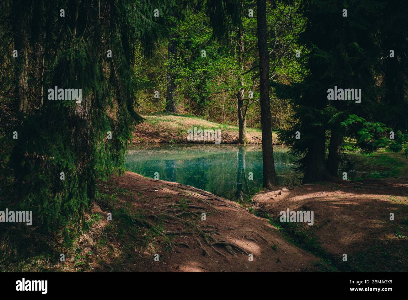 Beautiful blue lake hidden in green spring forest. Wonderful magic ...