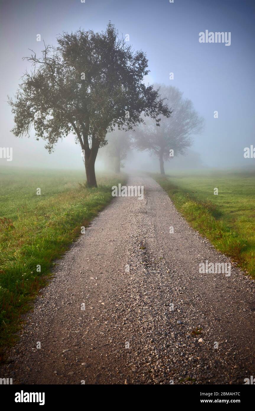 Fog in field evening hi-res stock photography and images - Alamy