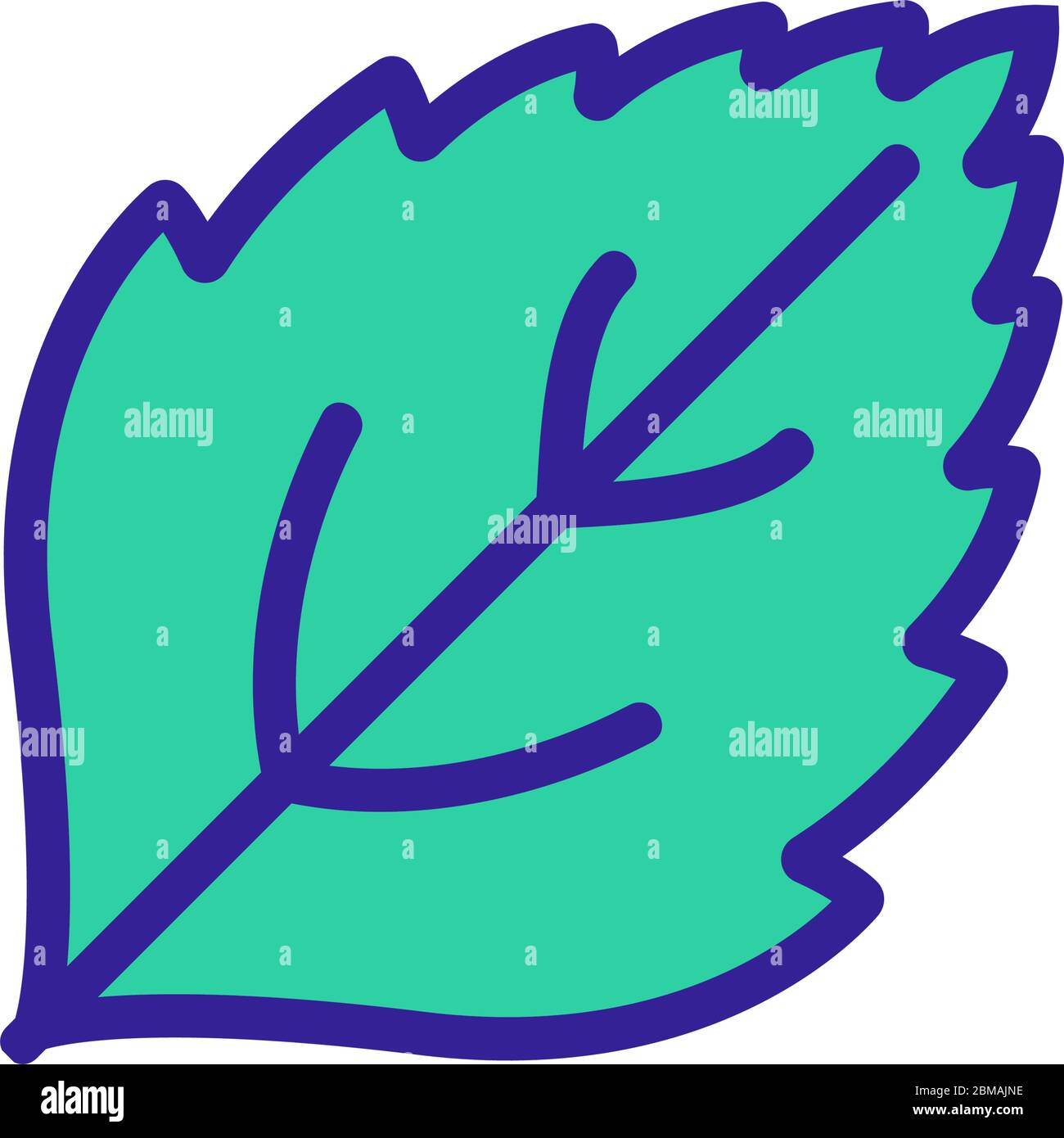 mint leaf close-up view icon vector outline illustration Stock Vector ...
