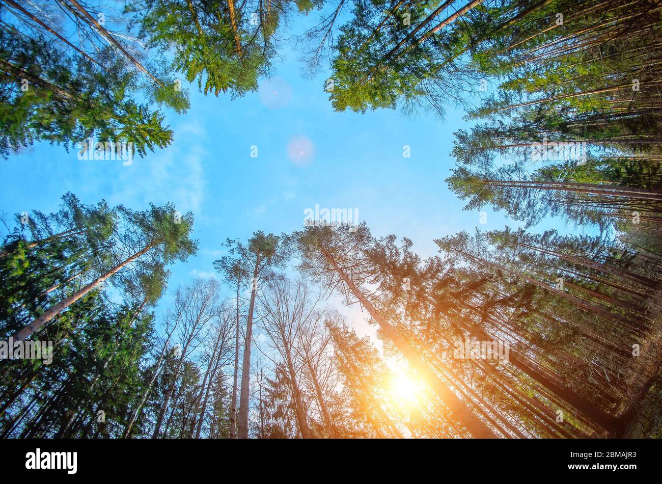 Light from above by the sun hi-res stock photography and images - Alamy