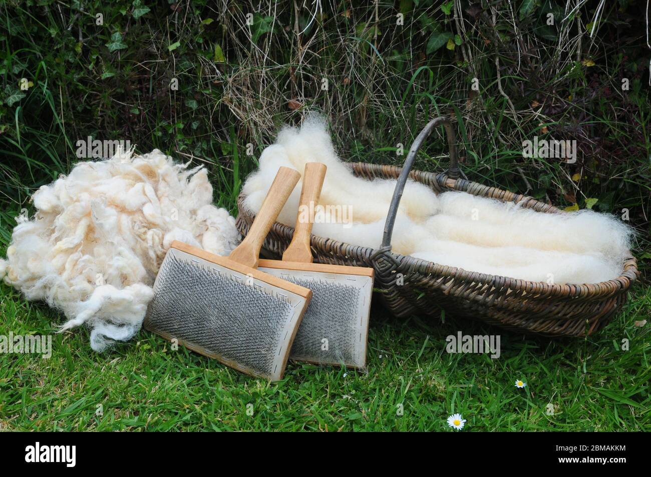 Sheeps fleece hi-res stock photography and images - Alamy