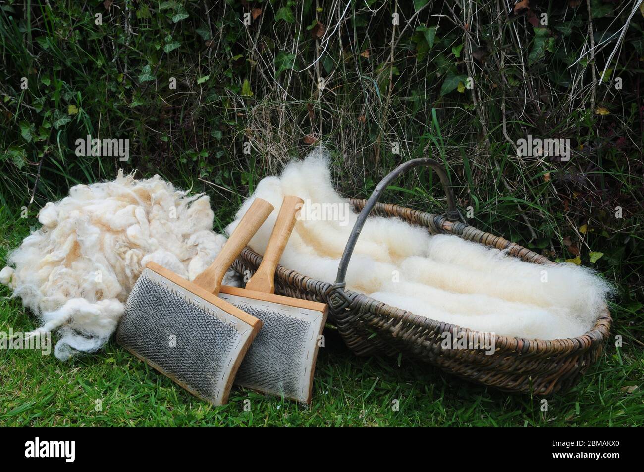 Sheeps fleece hi-res stock photography and images - Alamy