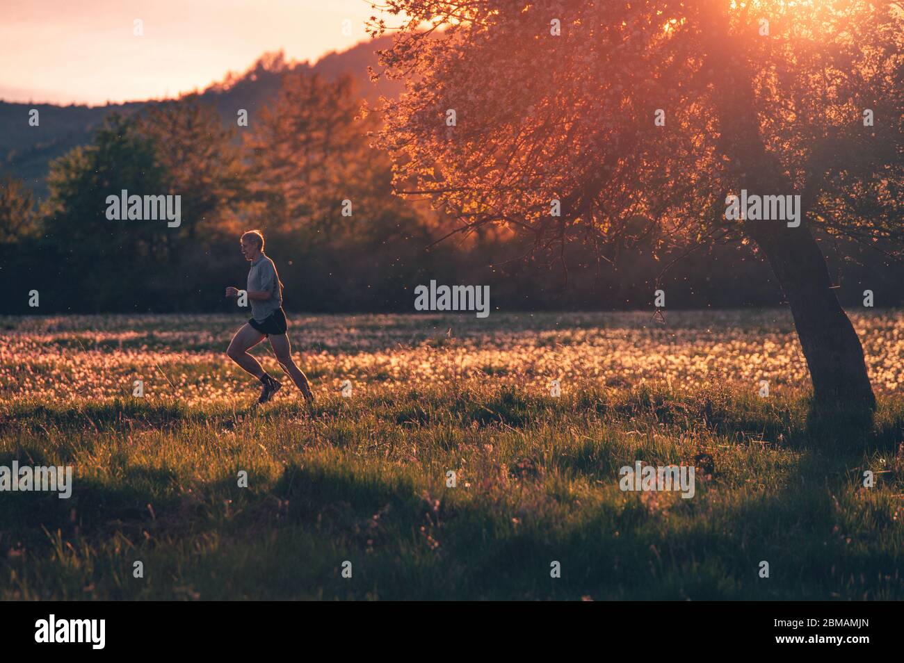 Couple train silhouette hi-res stock photography and images - Alamy