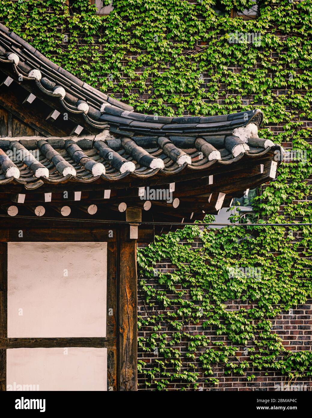 Korea summer temple hi-res stock photography and images - Alamy