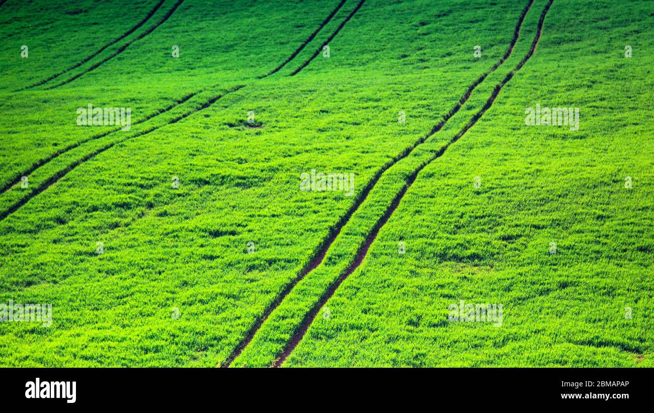 Spring agricultural field hi-res stock photography and images - Alamy