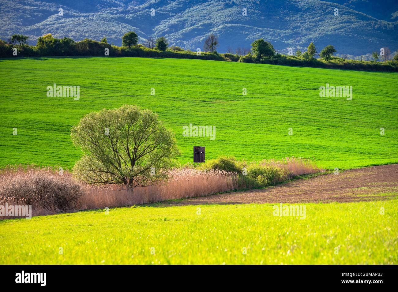 Rural, agricultural spring landscape. fields and hunting cabine Stock ...