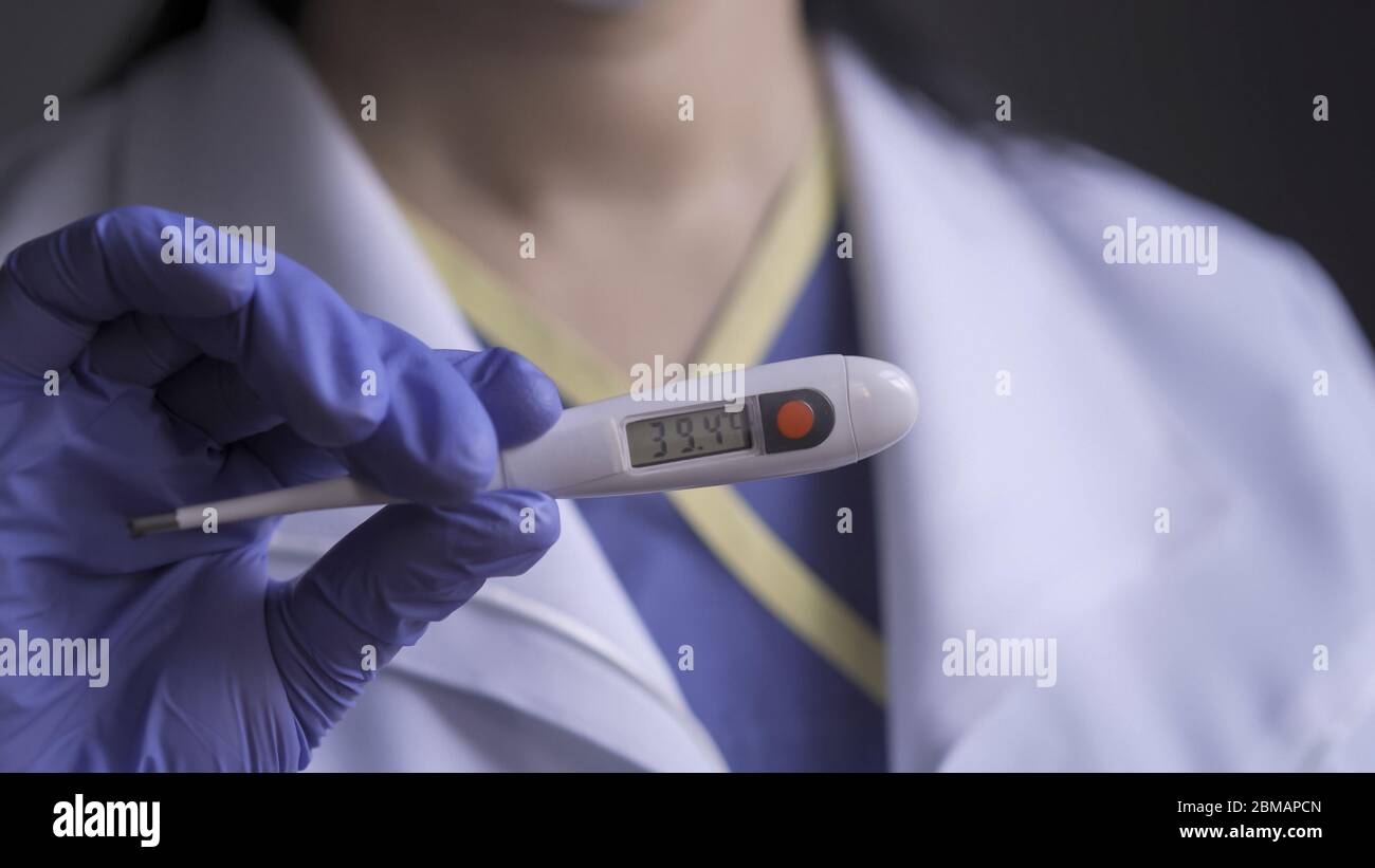 High body temperature on electronic thermometer in medic's hand. Doctor ...