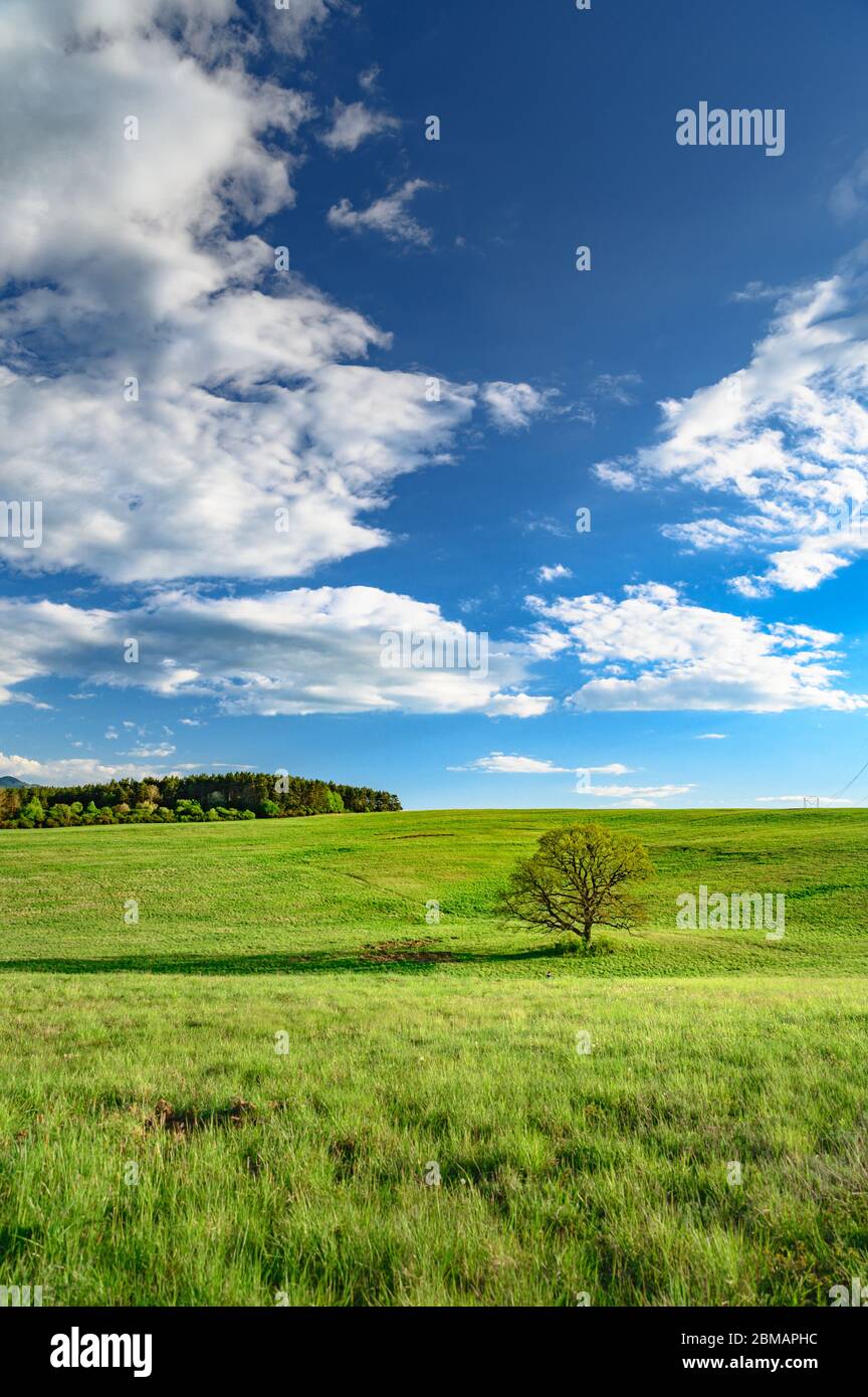 Beautiful Spring Landscapes Wallpapers