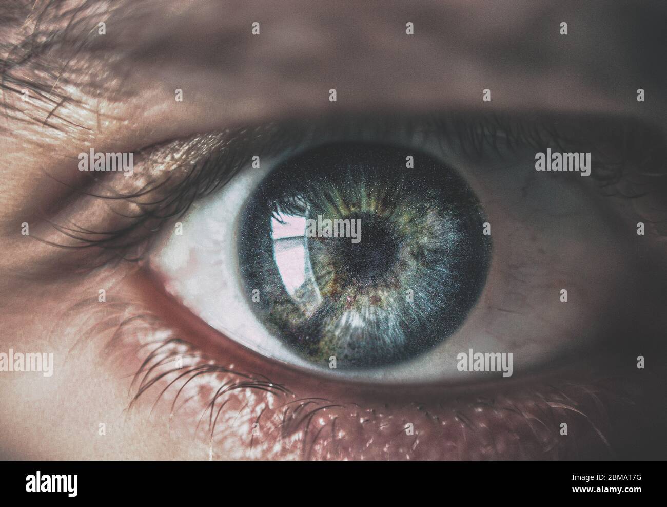 Cornea eye hi-res stock photography and images - Alamy
