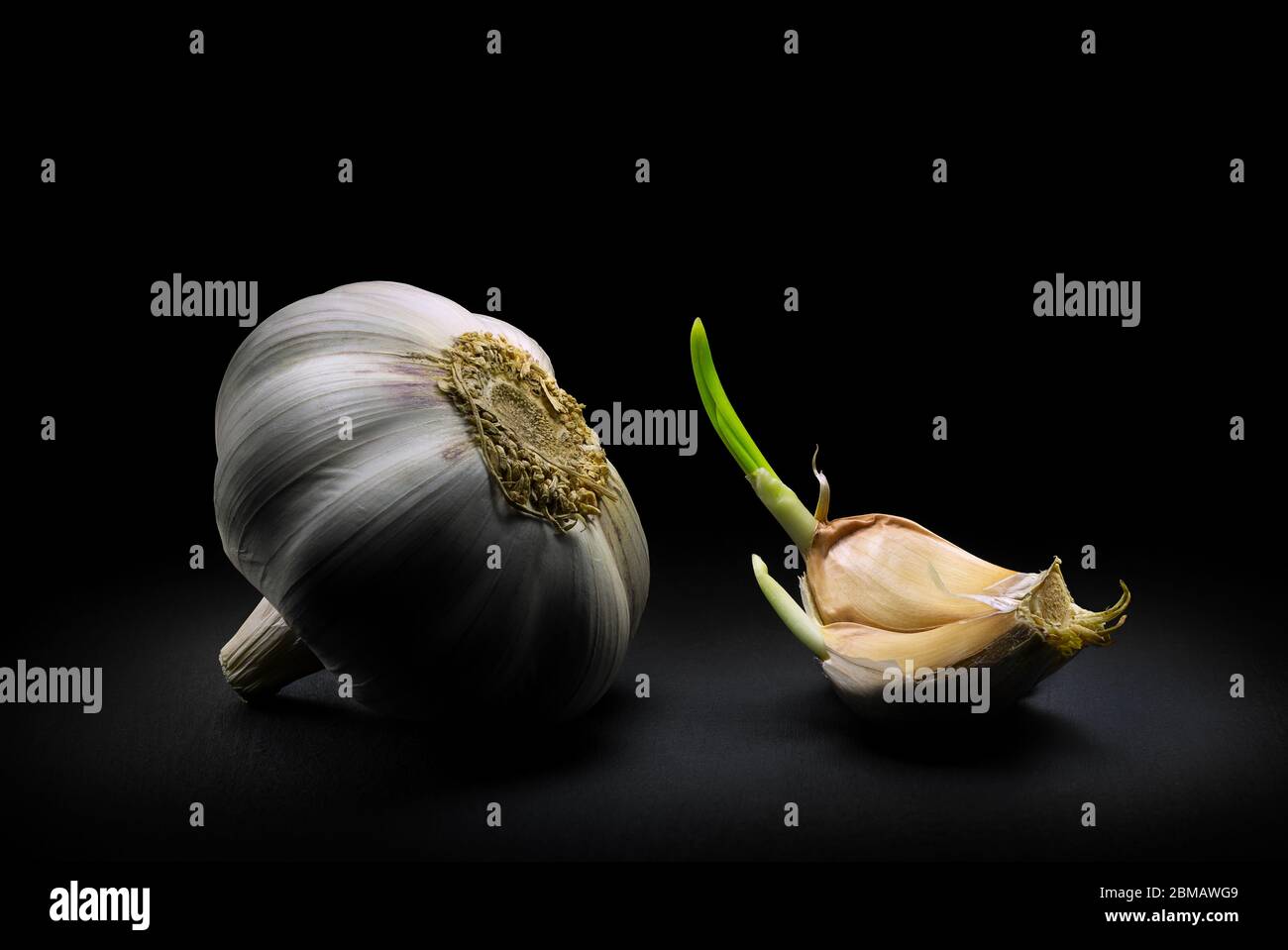 One Garlic Clove