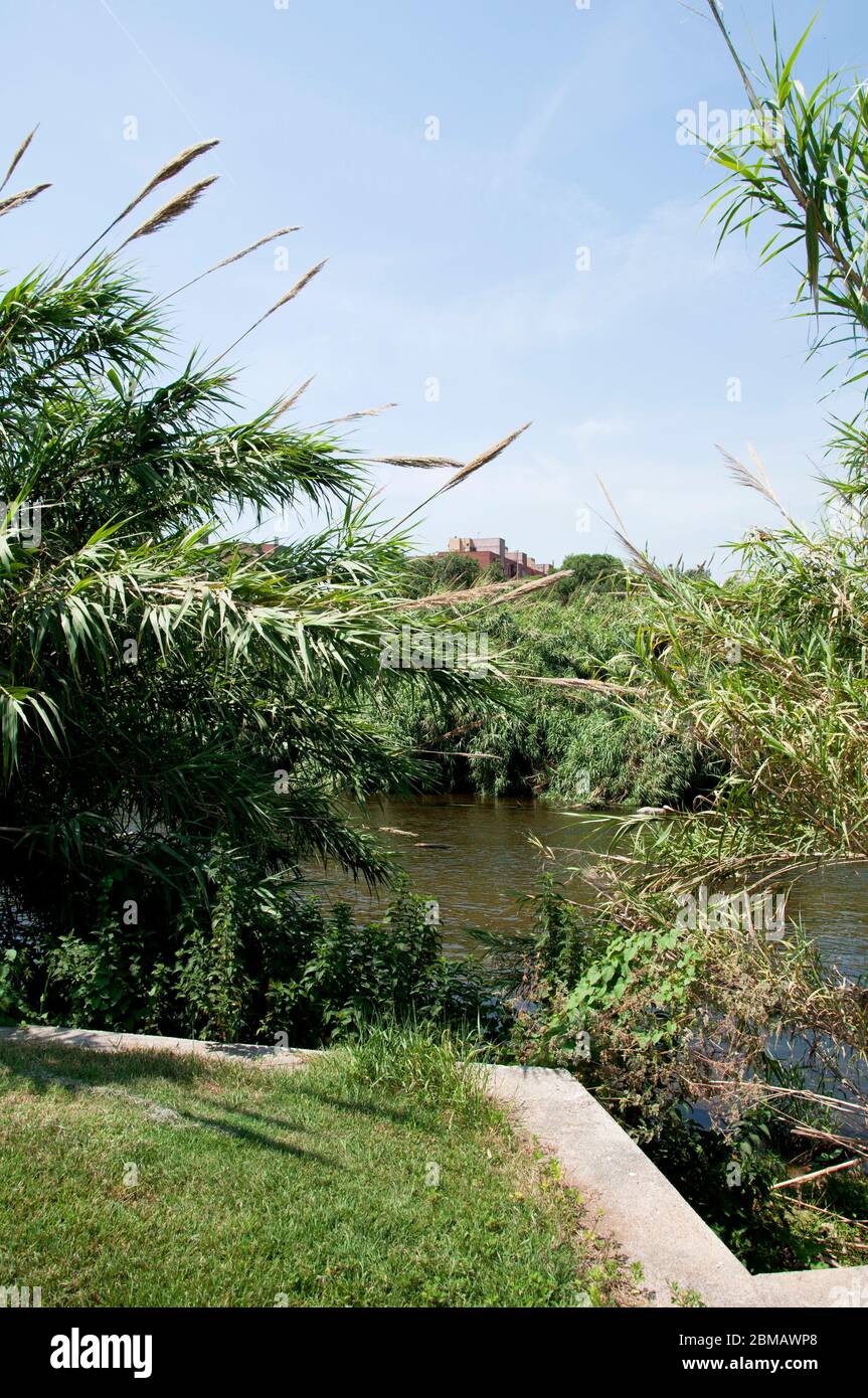 Parc Fluvial High Resolution Stock Photography and Images - Alamy