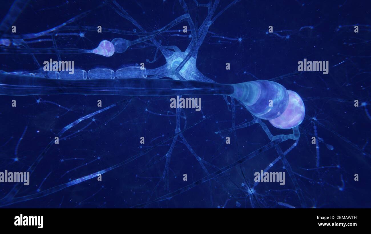 3d illustration brain neurons with synapses and axons Stock Photo - Alamy