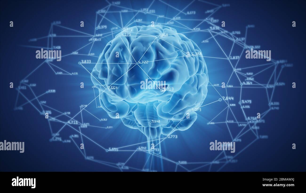 3d illustration brain with computational and mathematical data Stock ...