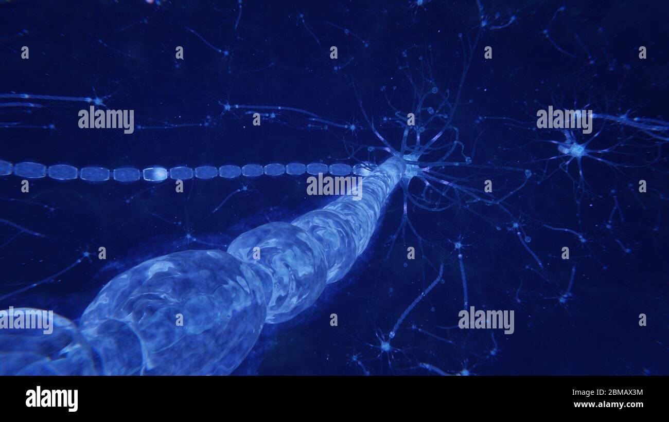 3d illustration brain neurons with synapses and axons Stock Photo - Alamy
