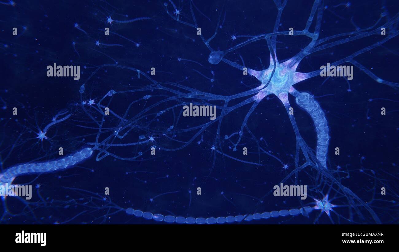 3d illustration brain neurons with synapses and axons Stock Photo - Alamy