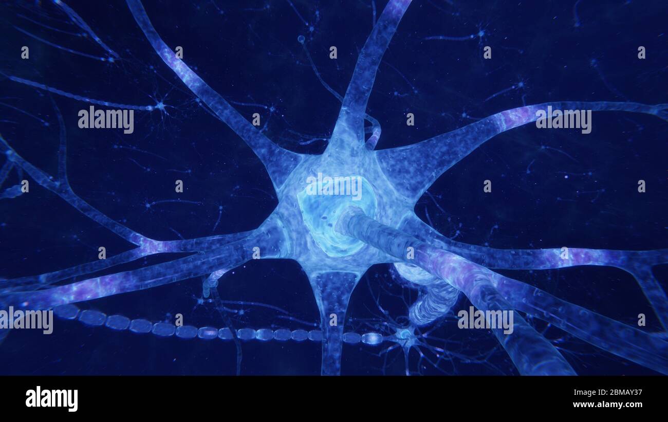 3d illustration brain neurons with synapses and axons Stock Photo - Alamy
