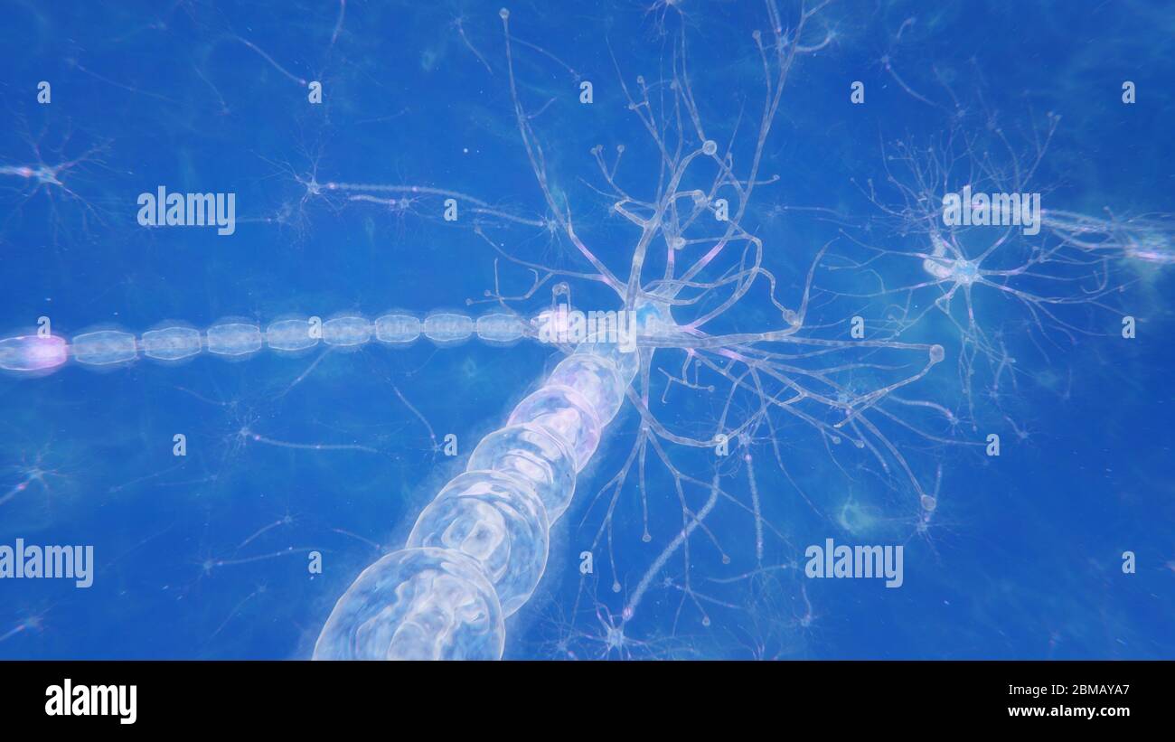 3d illustration brain neurons with synapses and axons Stock Photo - Alamy