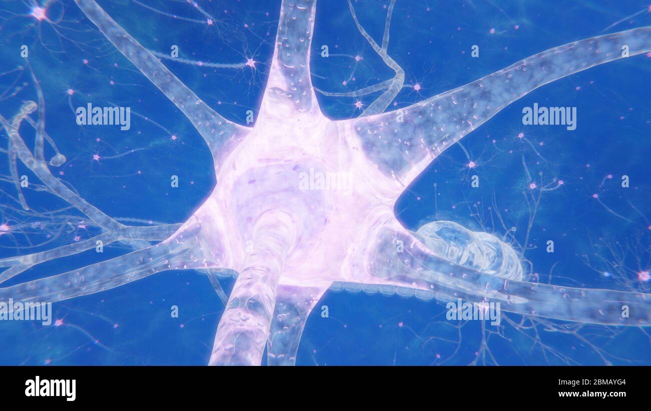 3d illustration brain neurons with synapses and axons Stock Photo - Alamy