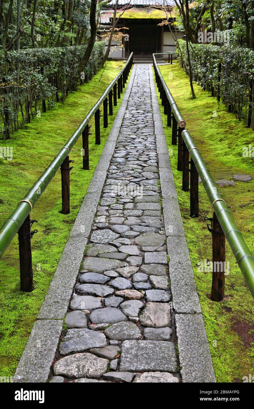 Japanese moss garden in Kyoto, Japan. Kyoto Kita Ward landmark ...